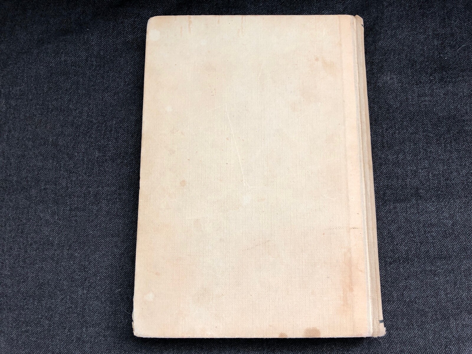 Vintage GERMAN BOOK Storybook by Ludwig Bechltein COLOR ILLUSTRATED ...