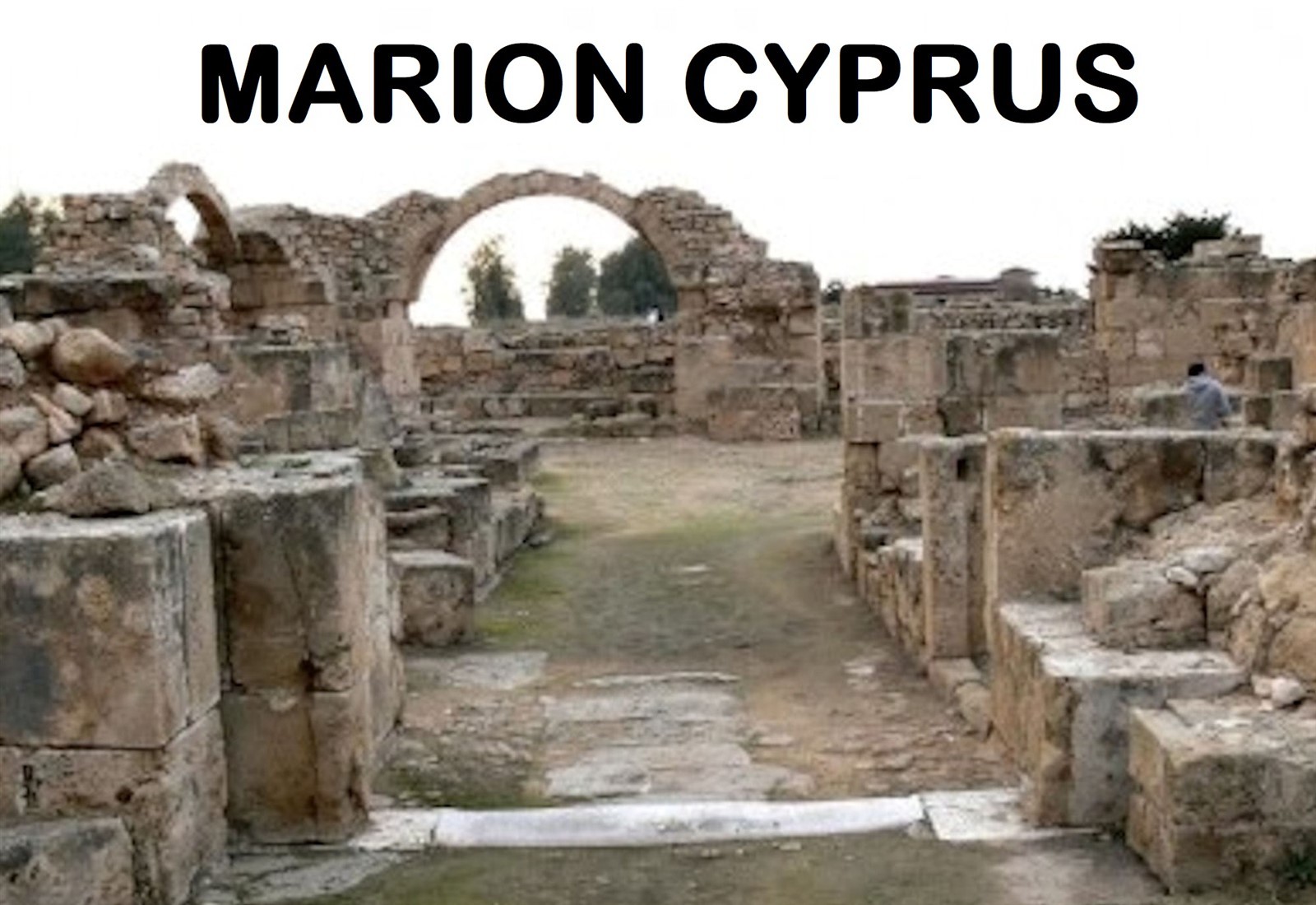 KING TIMOCHARIS OF MARION CYPRUS AE11_____4th Century BC_____RAZED BY ...
