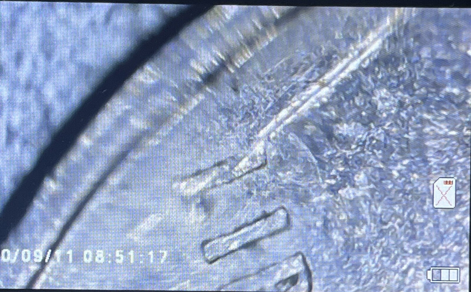 1999 D Mint Georgia Quarter Error Coin | eBay