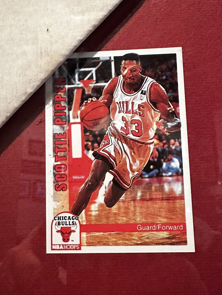 1995-96 NBA Chicago Bulls Framed Photo and Player Cards! 72 1995-96 NBA Chicago Bulls Framed Photo and Player Cards! 72