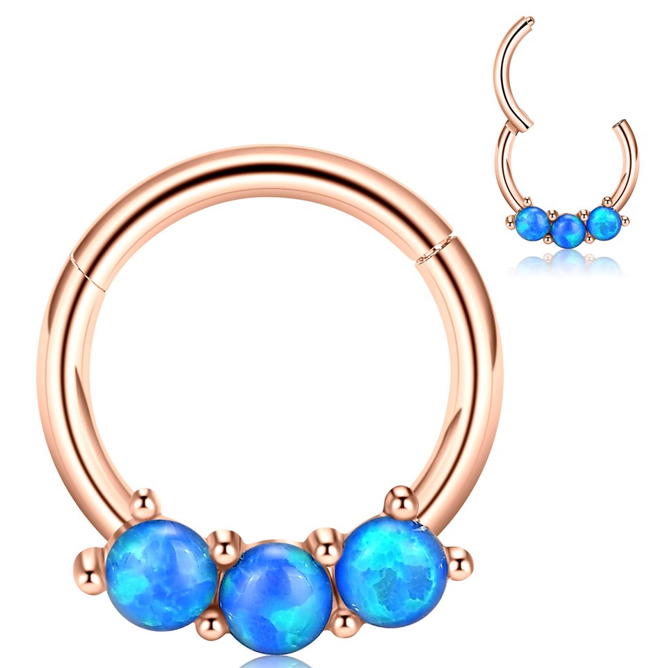 1Pc Nose Hoop Hinged Segment 16G Stainless Steel CZ/Opal Septum Labret ...