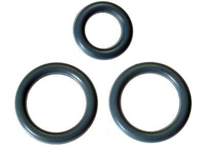 Fuel Injection Fuel Rail O-Ring Kit | eBay