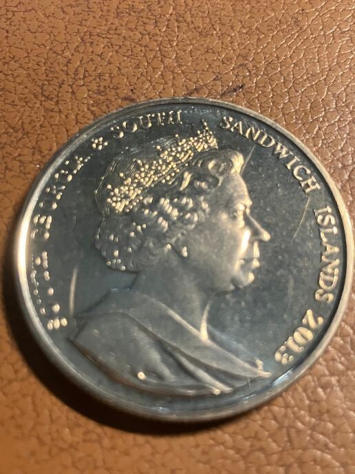 elf SGSS S Georgia S Sandwich Isl 2013 Weddell Seal Pup | eBay