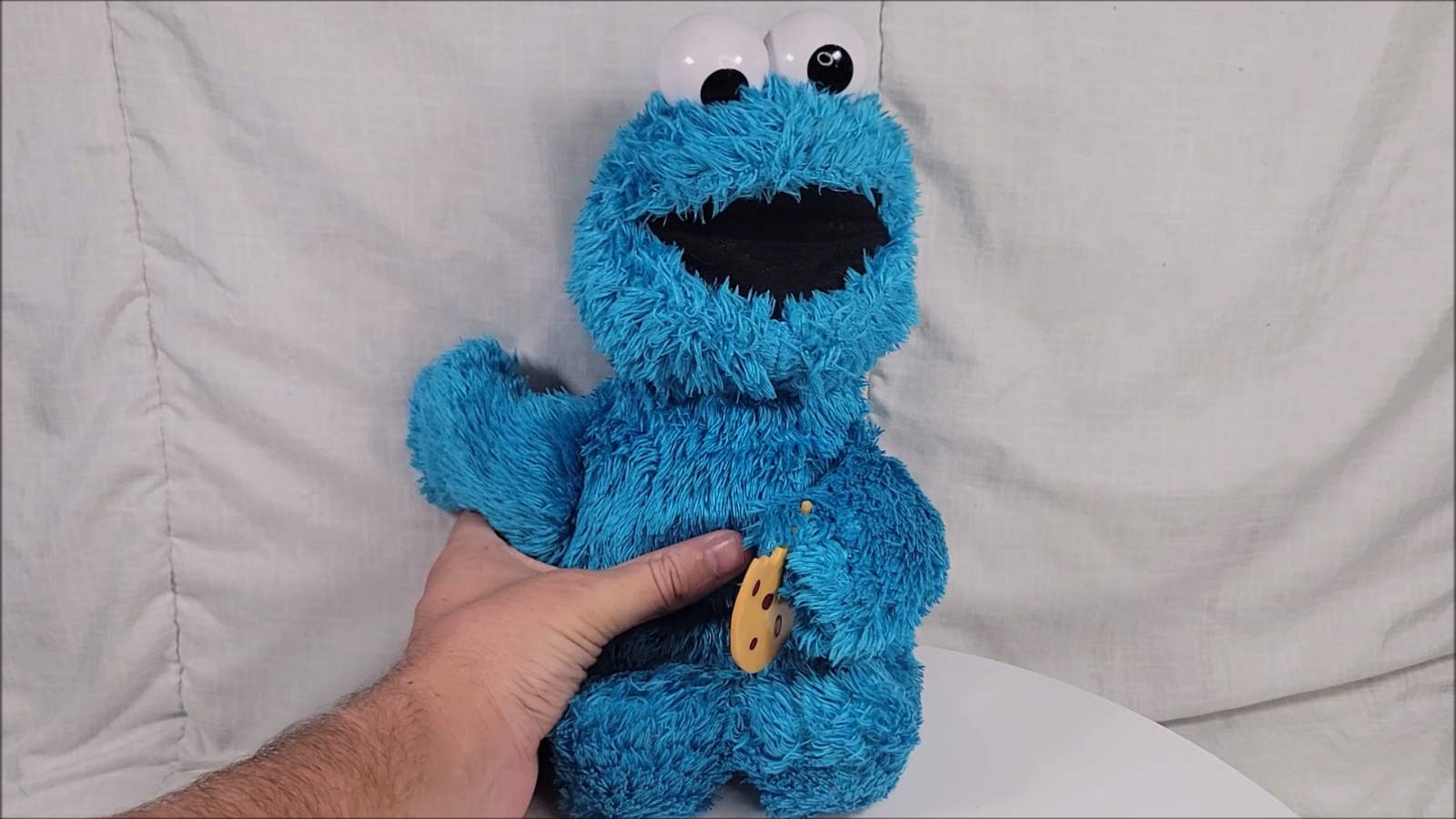 Sesame Street Feed Me Cookie Monster Talk Plush 13" | eBay