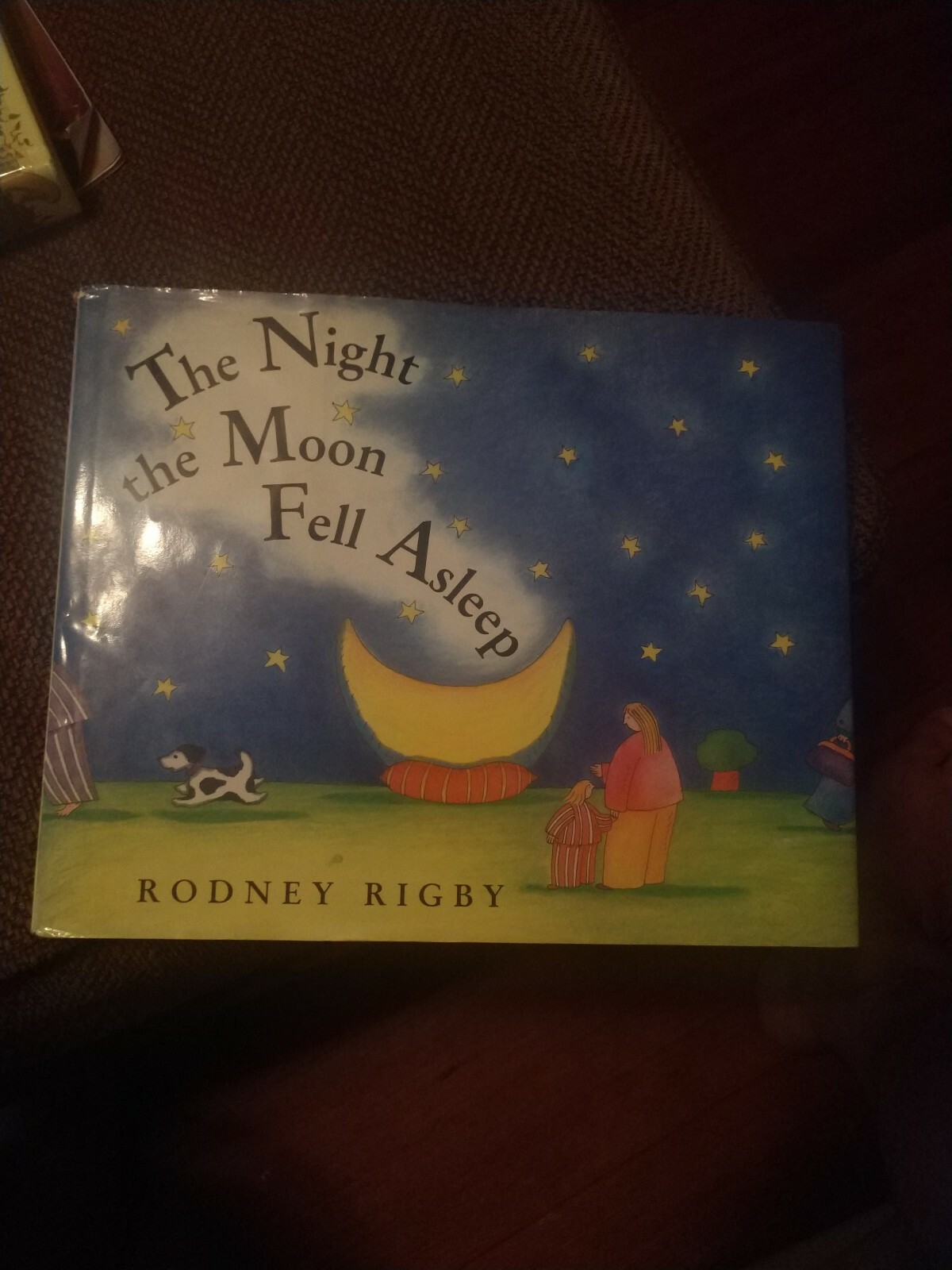 The Night the Moon Fell Asleep by Rodney Rigby 1993 HC/ DJ ...