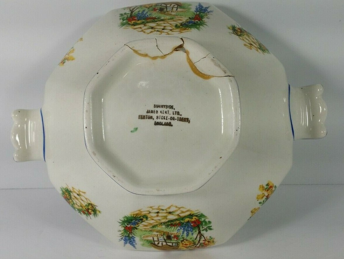 James Kent Pottery Set (9) Country Cottage Scenery with Blue Rim Made ...