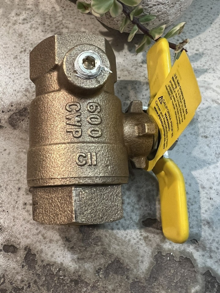 Apollo Combraco 1 in 4A505A2F Backflow Preventer 1" Bronze PVB Tapped ...