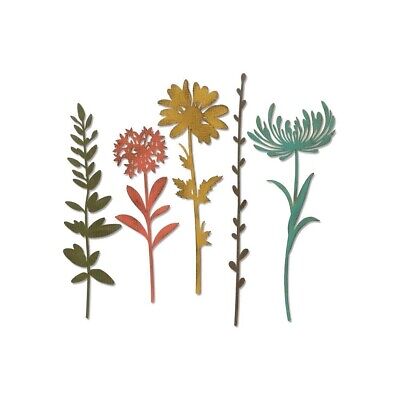 Sizzix Thinlits Dies By Tim Holtz - Wildflower Stems #1 - 5 Dies | eBay Australia