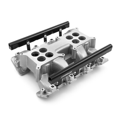 Chevy GM LS1 LS2 2x4-Barrel Dual Plane Fuel Injected Intake Manifold ...