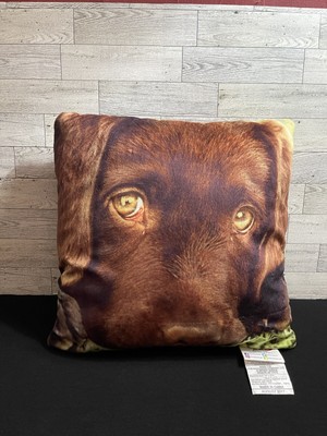 The Northwest Company Chocolate Lab “Oh Boy” Throw Pillow | eBay
