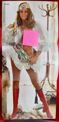 Playboy Magazine Replacement Centerfold May 1971 Janice Pennington Near Mint | eBay