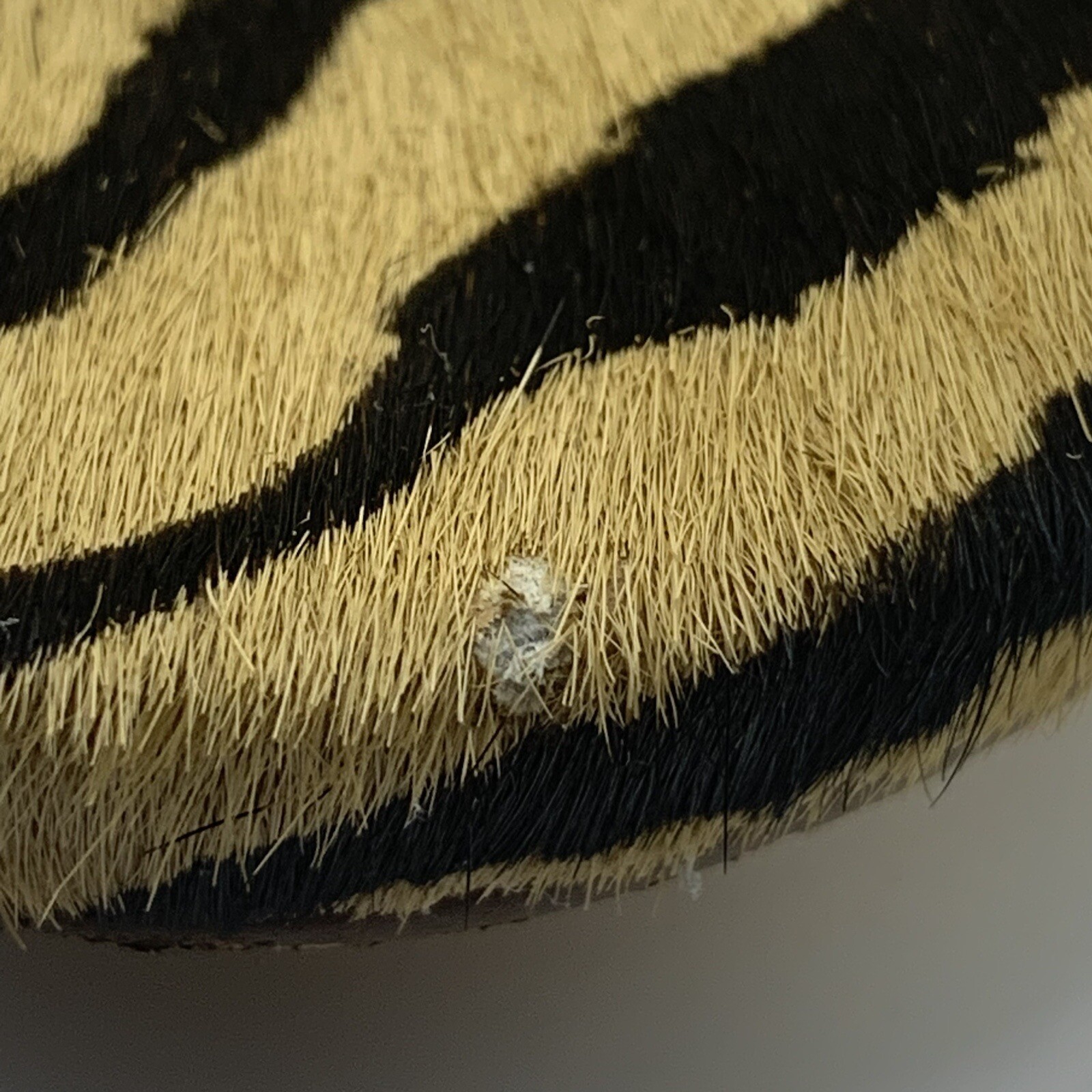 Matisse So Long Brown & Black Tiger Stripe Cow Hair &… - Gem