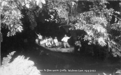 1950s Entrance Glow Worm Grotto Waitomo Cave RPPC real photo postcard ...