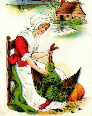 Thanksgiving Postcard Pretty Blonde Pilgrim Lady Plucking Turkey ...