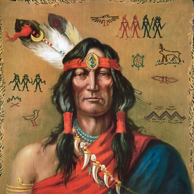 1906 Portrait of a Native American Indian Chief Wall Art Poster Print ...