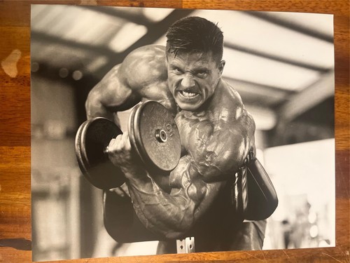 WWE Wrestler ACHIM ALBRECHT bodybuilding muscle photo | eBay