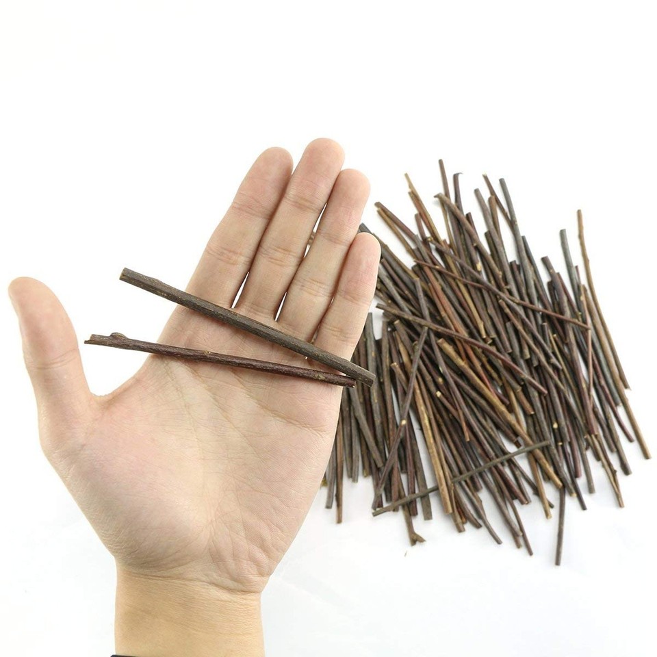 TKOnline 100Pcs 10cm 0.1-0.2 Inch in Diameter Wood Log Sticks for DIY ...