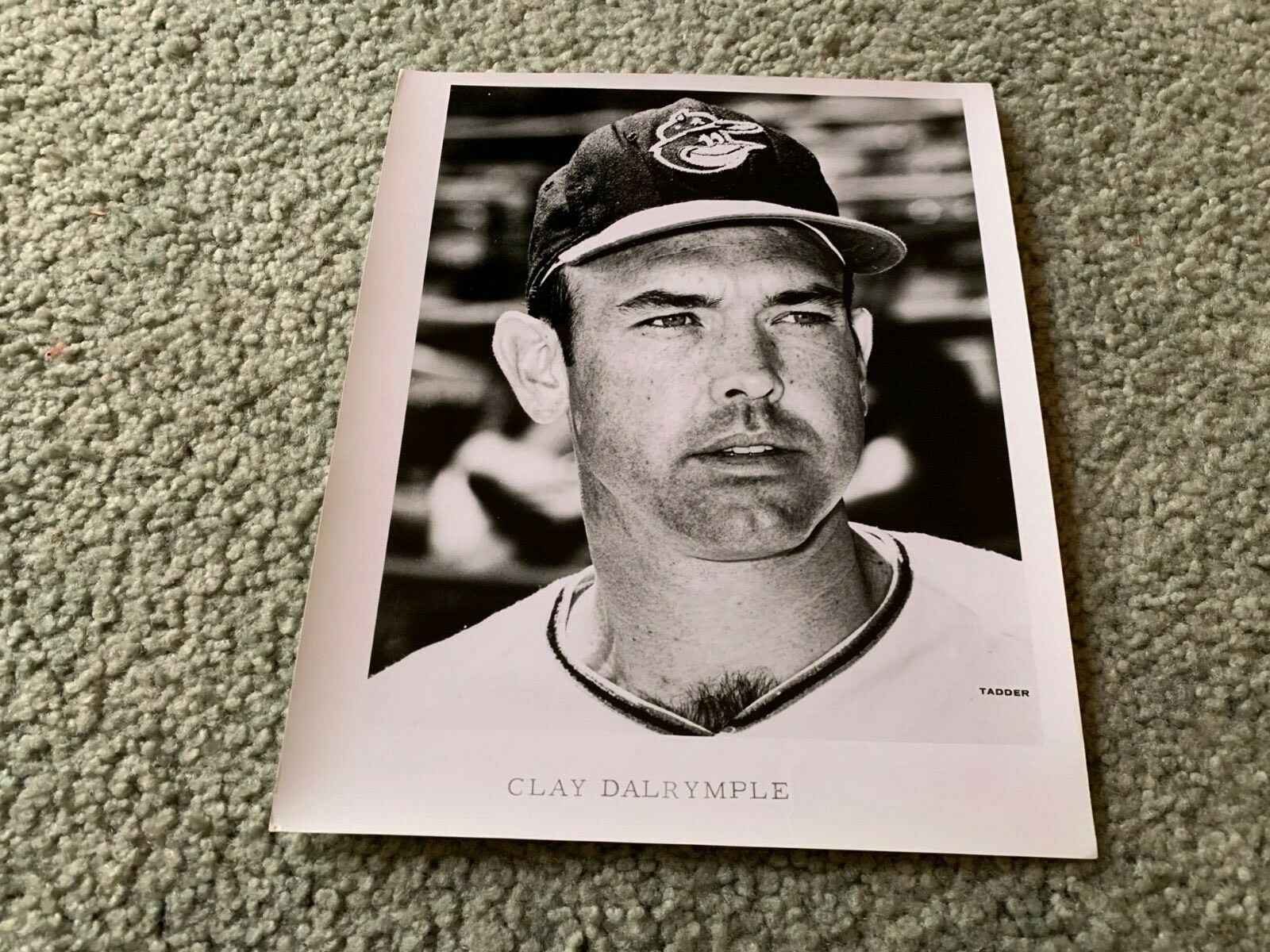 1970 Baltimore Orioles Baseball Team Issue Tadder Photo Clay Dalrymple ...