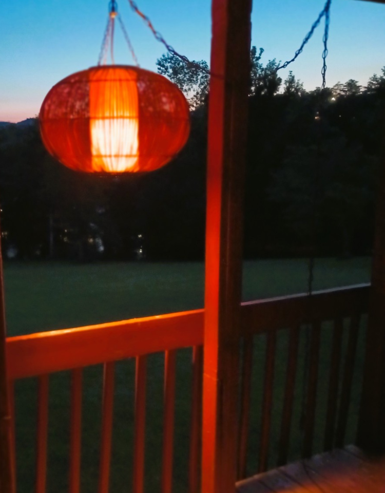 Pier 1 Wicker Rattan Hanging Lamp Ceiling Light for Inside Home Patio ...