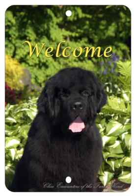 Newfoundland Aluminum Indoor/Outdoor Welcome Sign | eBay