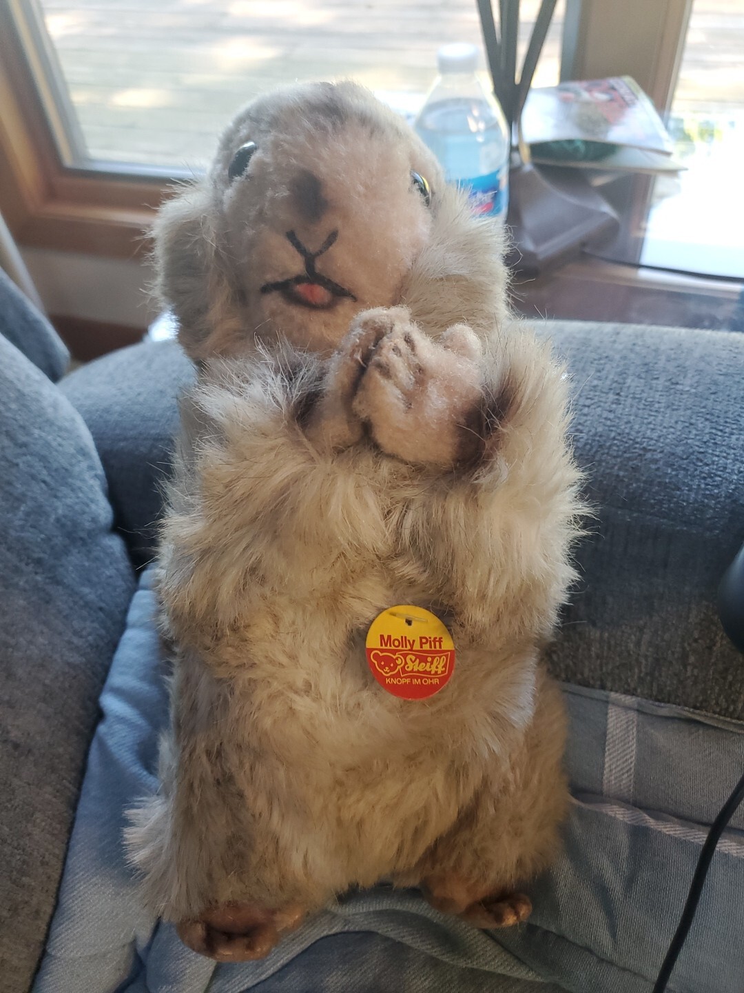 Original Steiff MOLLY PIFF MARMOT SQUIRREL GROUNDHOG with Tags 0346/30 ...