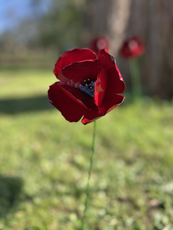 Handcrafted Metal Outdoor Poppy. Remembrance Poppy. Outdoor Flower ...