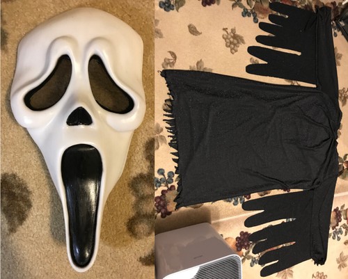 *Ends Jul 19* Repainted Scream Ghostface EU Mask + FLAWED 25th ...