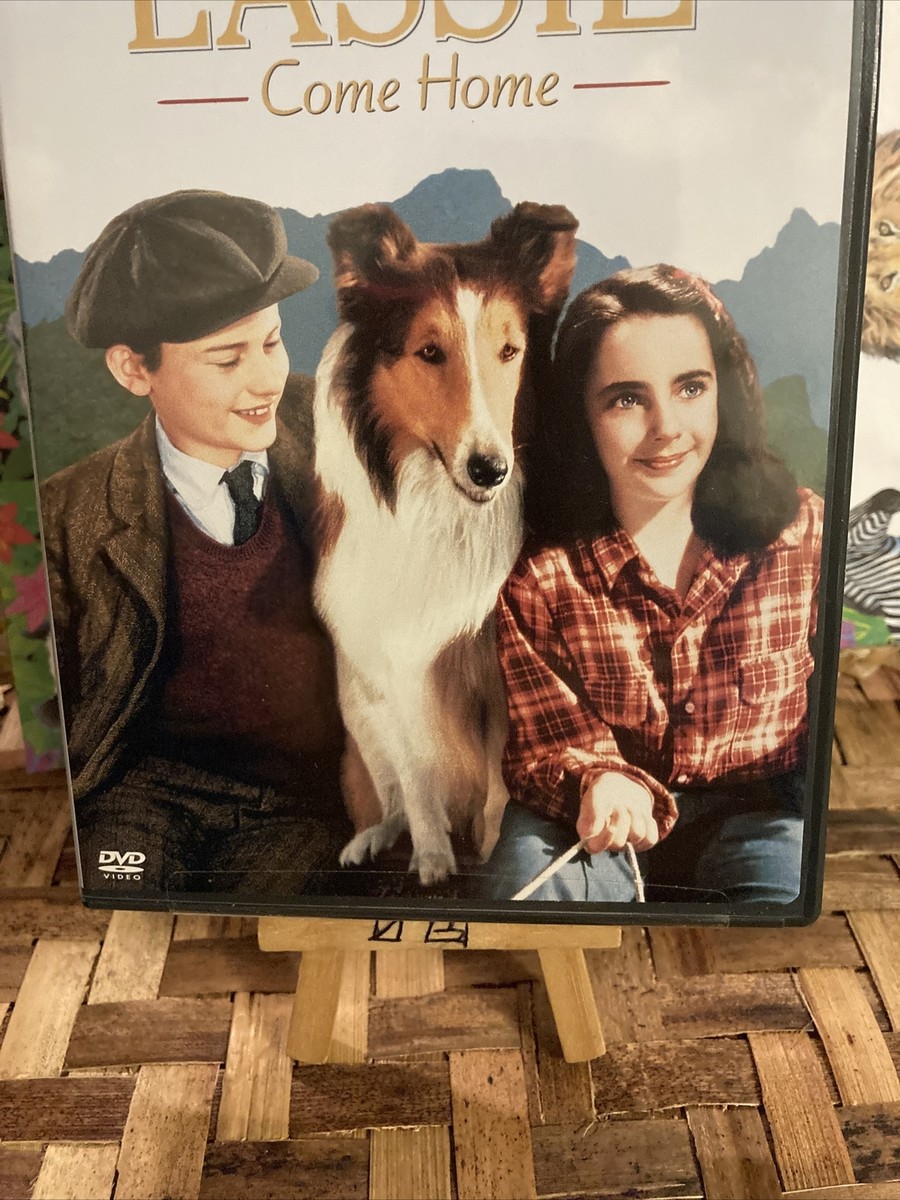 Elizabeth Taylor Lassie