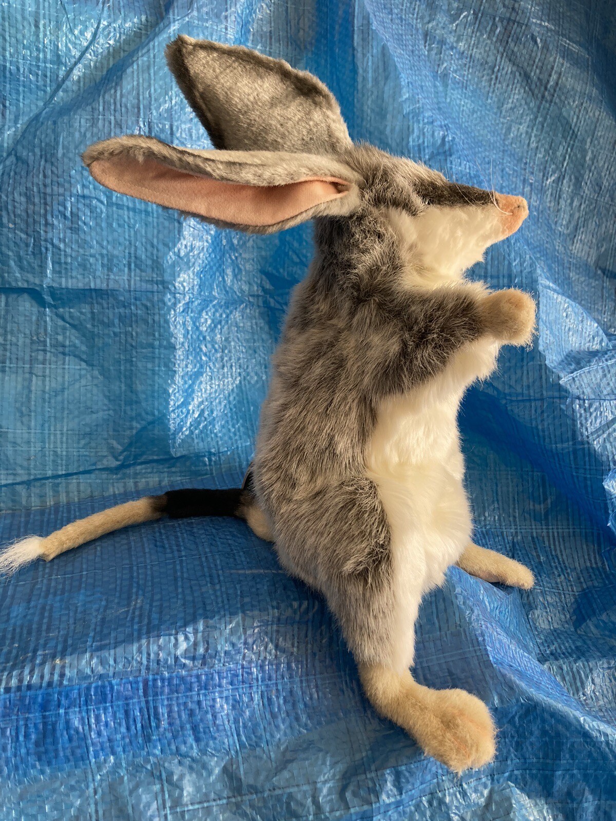 Puppet Bilby By Hansa | eBay