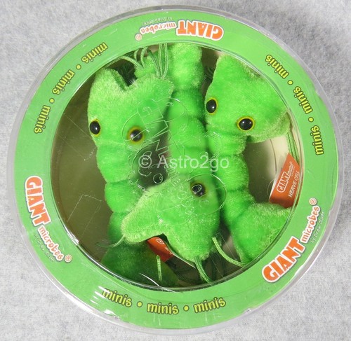 GIANT MICROBES-NERVE CELL PETRI DISH-Stuffed Plush Neuron Spine Synapse ...