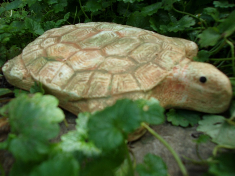 Cement Turtle mold concrete plaster plastic tortoise mould 8.5" x 6" x ...
