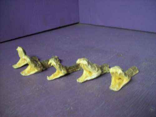 1 Real animal stuffed western diamondback rattlesnake taxidermy head ...