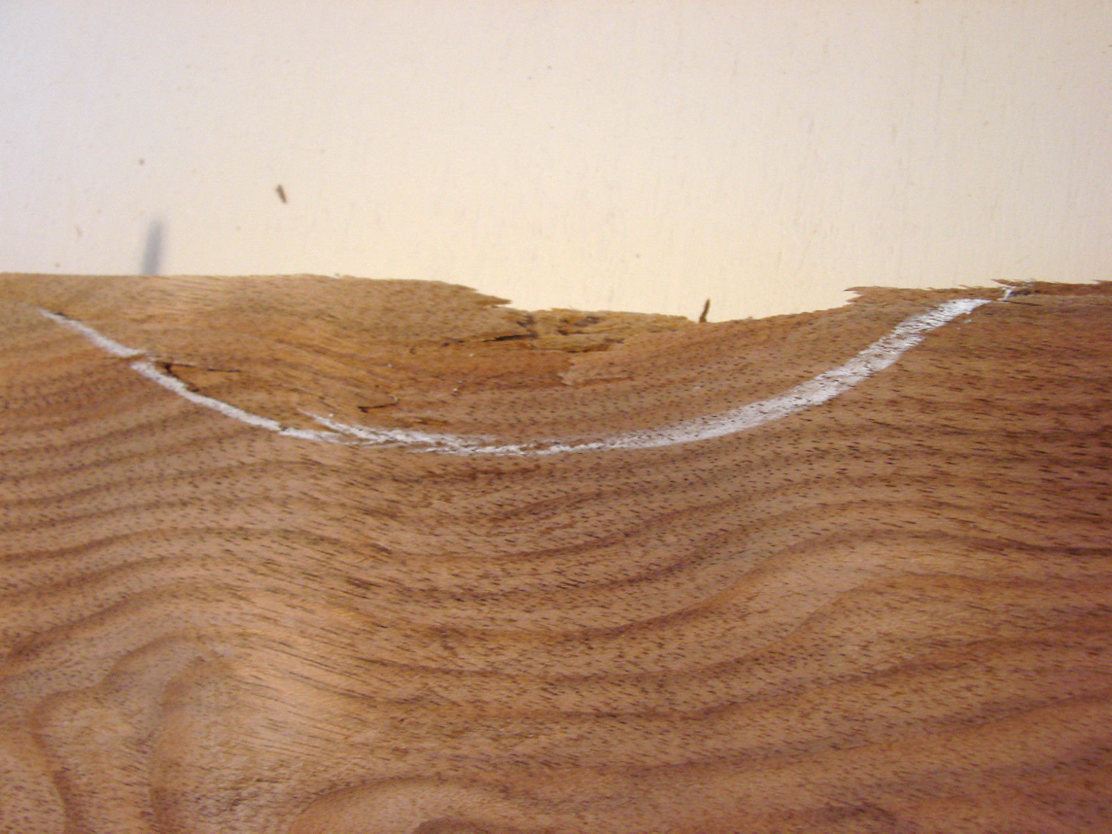 French Walnut Veneer 170 cm by 18 cm (877) | eBay UK