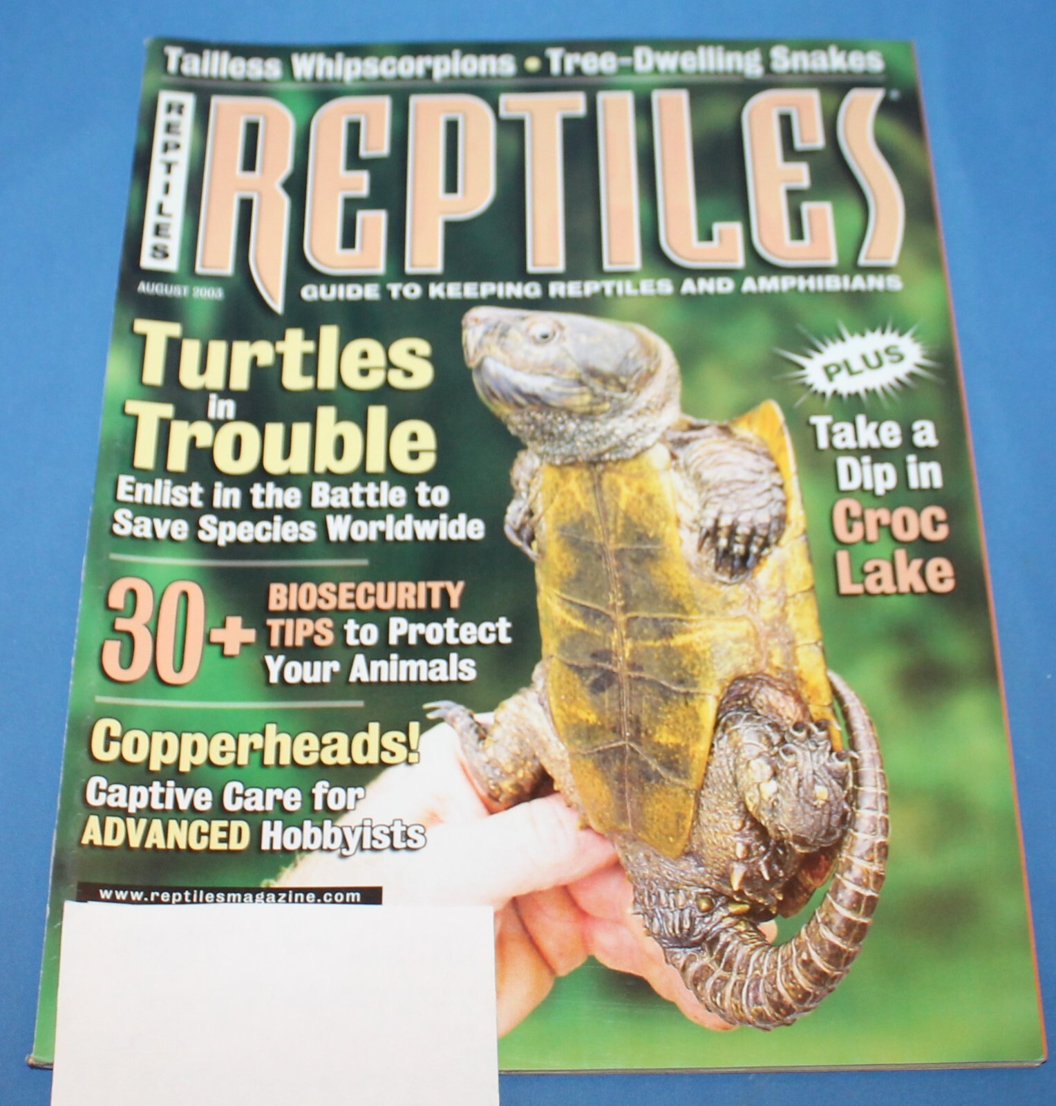 Reptiles Magazine August 2003, Turtles In Trouble Vol 11 # 8 | eBay