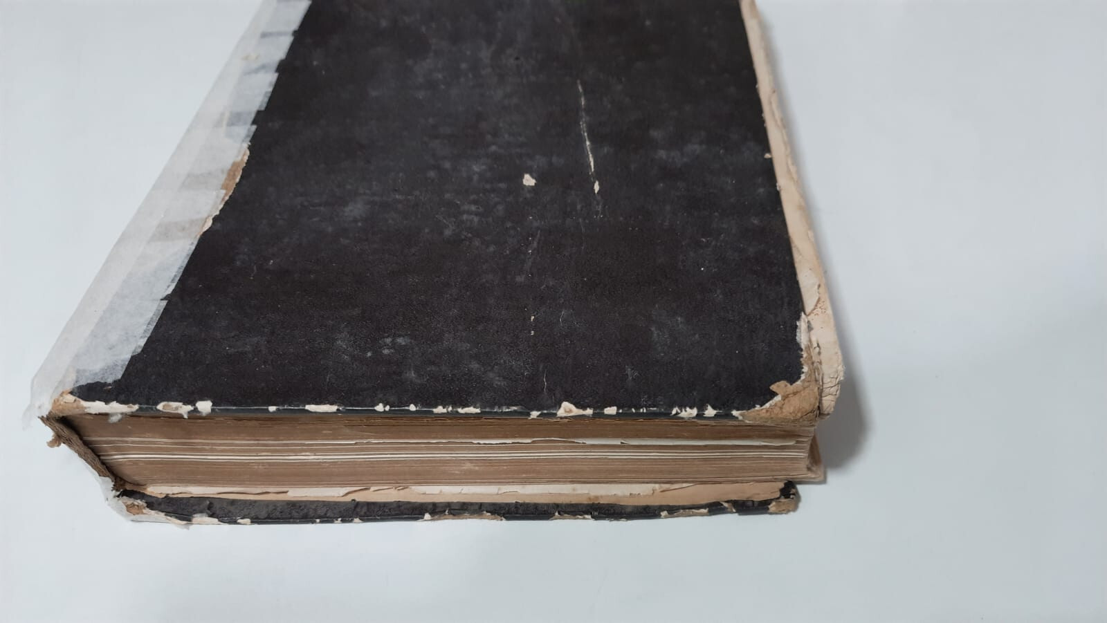 Remington’s Pharmaceutical Sciences 13th Edition 1965 Illustrated ...