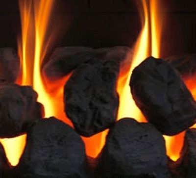 20 Gas Fire Replacement Coals Ceramic Large Oval Realistic Artificial ...