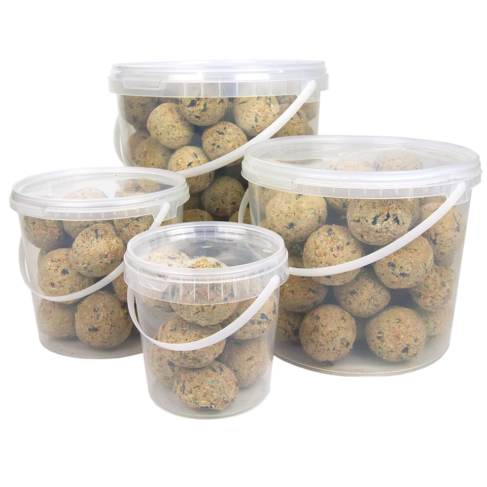 SQUAWK Suet Fat Balls - Wild Garden Bird Food High Energy Year Round ...