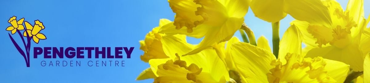 Pengethley Garden Centre LTD | eBay Stores