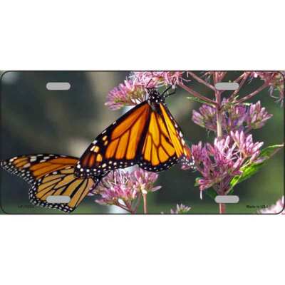 Butterfly Monarch On Flower License Plate Tag Novelty Metal LP-11234 | eBay
