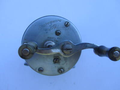 Other - Shakespeare Model