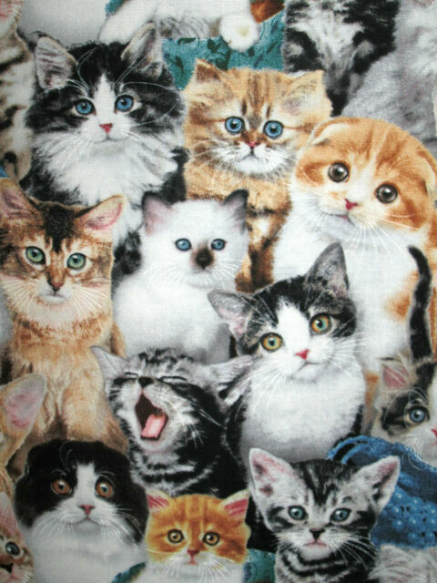 Multi Cats & Kitten Breeds Elizabeth's Studio Cotton Fabric #5749 by ...