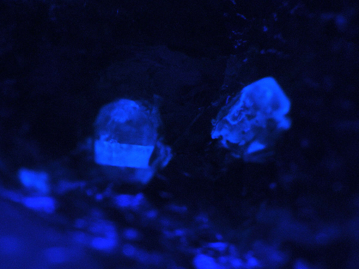 ARCTITE from Kola, Russia * VERY RARE MINERAL in UNIQUE MICROCRYSTALS ...