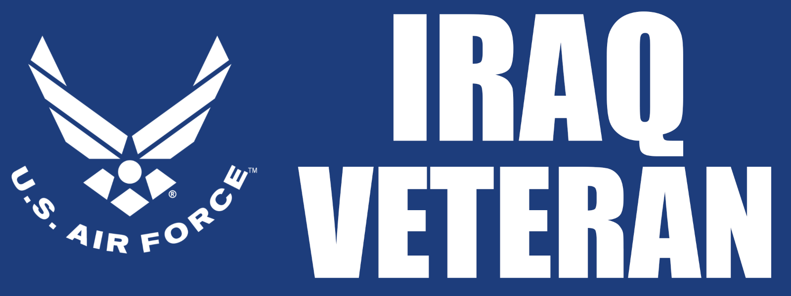3x8 in IRAQ VETERAN Bumper Sticker (air force car decal vet retired ...