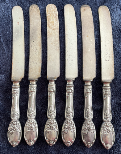6 Alvin Patent Silverplate 1908 Brides Bouquet 8 7/8” Dinner Knives ...