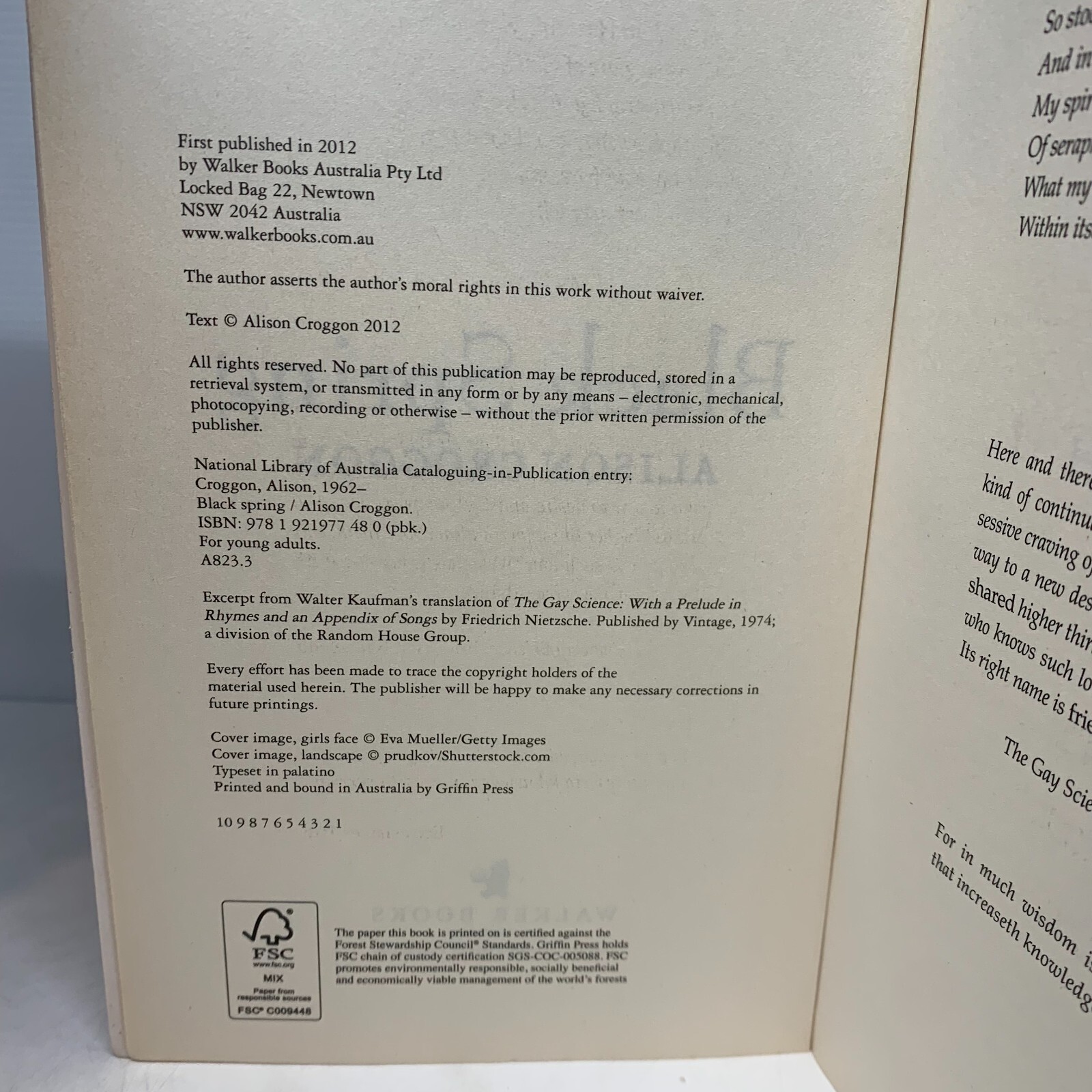 Black Spring by Alison Croggon (Paperback Book) Fantasy, Romance ...