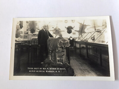 Tiger Morse Museum Interior Warren New Hampshire NH Postcard | eBay