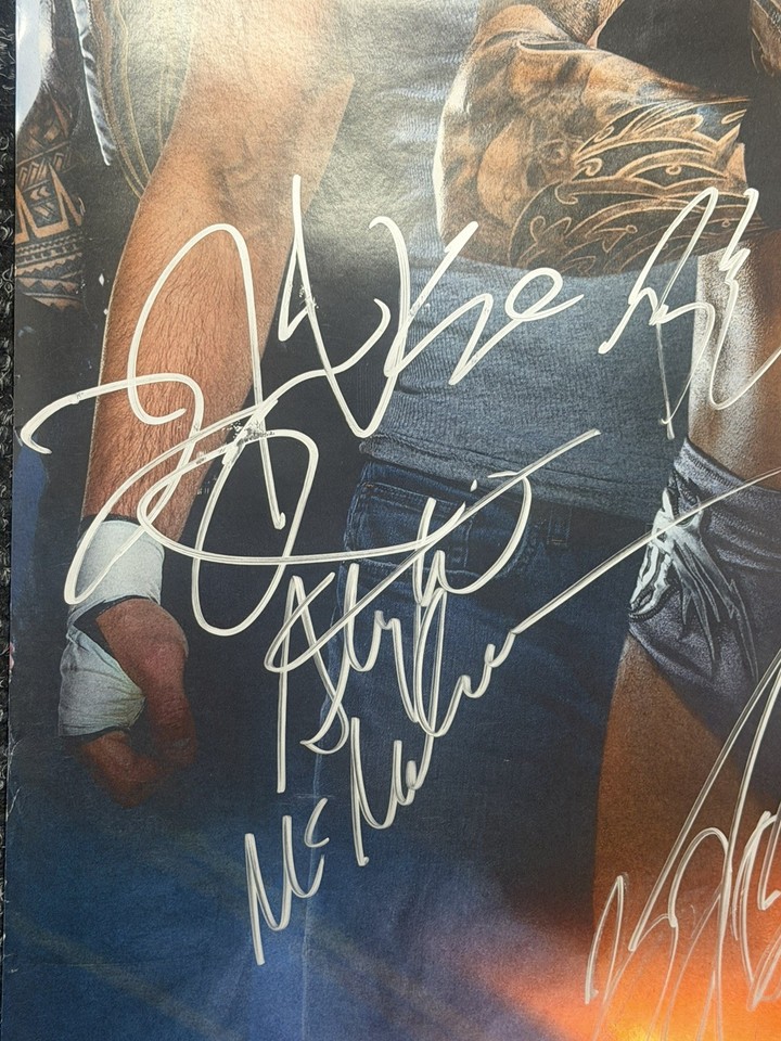 WWE SummerSlam Poster signed Triple H Bray Wyatt Orton Stephanie Alexa ...