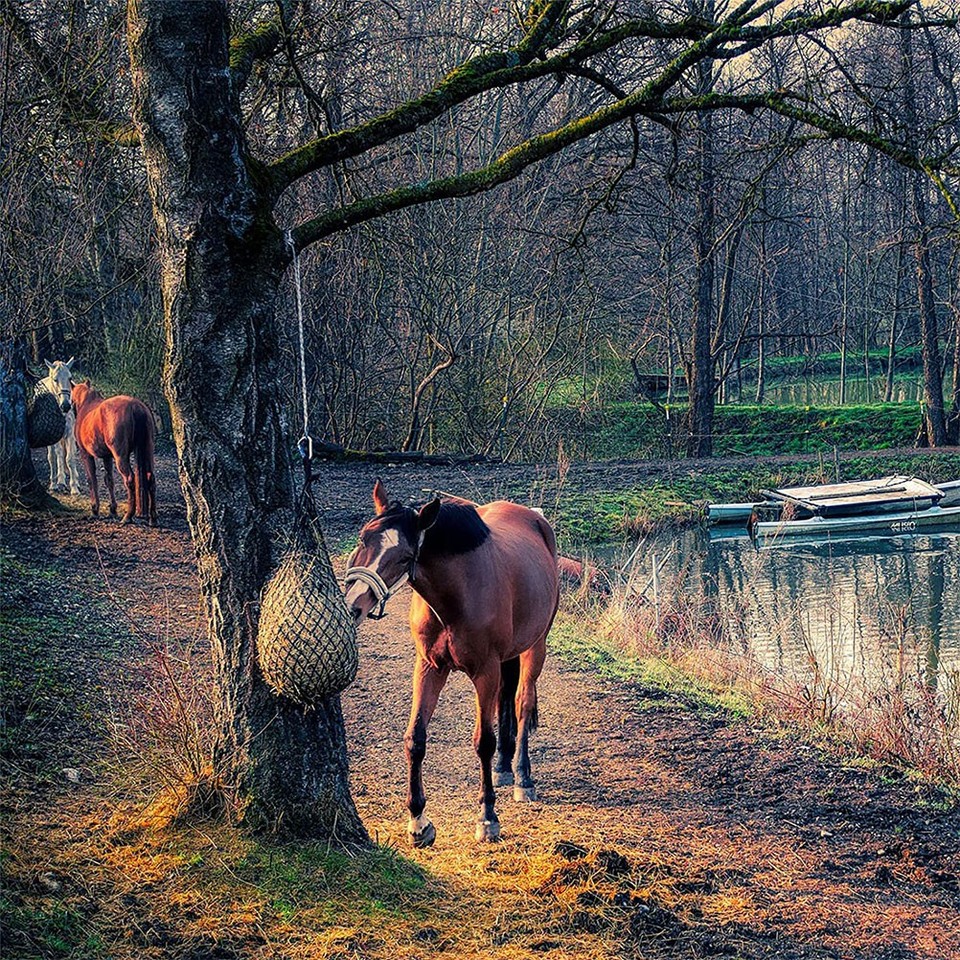 2 Pcs Suspended Hay Bags Iron Polyester Hay Nets Pasture Horse Feeding ...