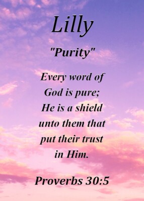 Lilly "Purity" Keepsake Name Meaning Card with Bible Verse | eBay