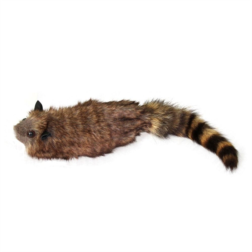 Funny Pranks Rocky Raccoon Magic Raccoon Magic Tricks Party Games Toys ...